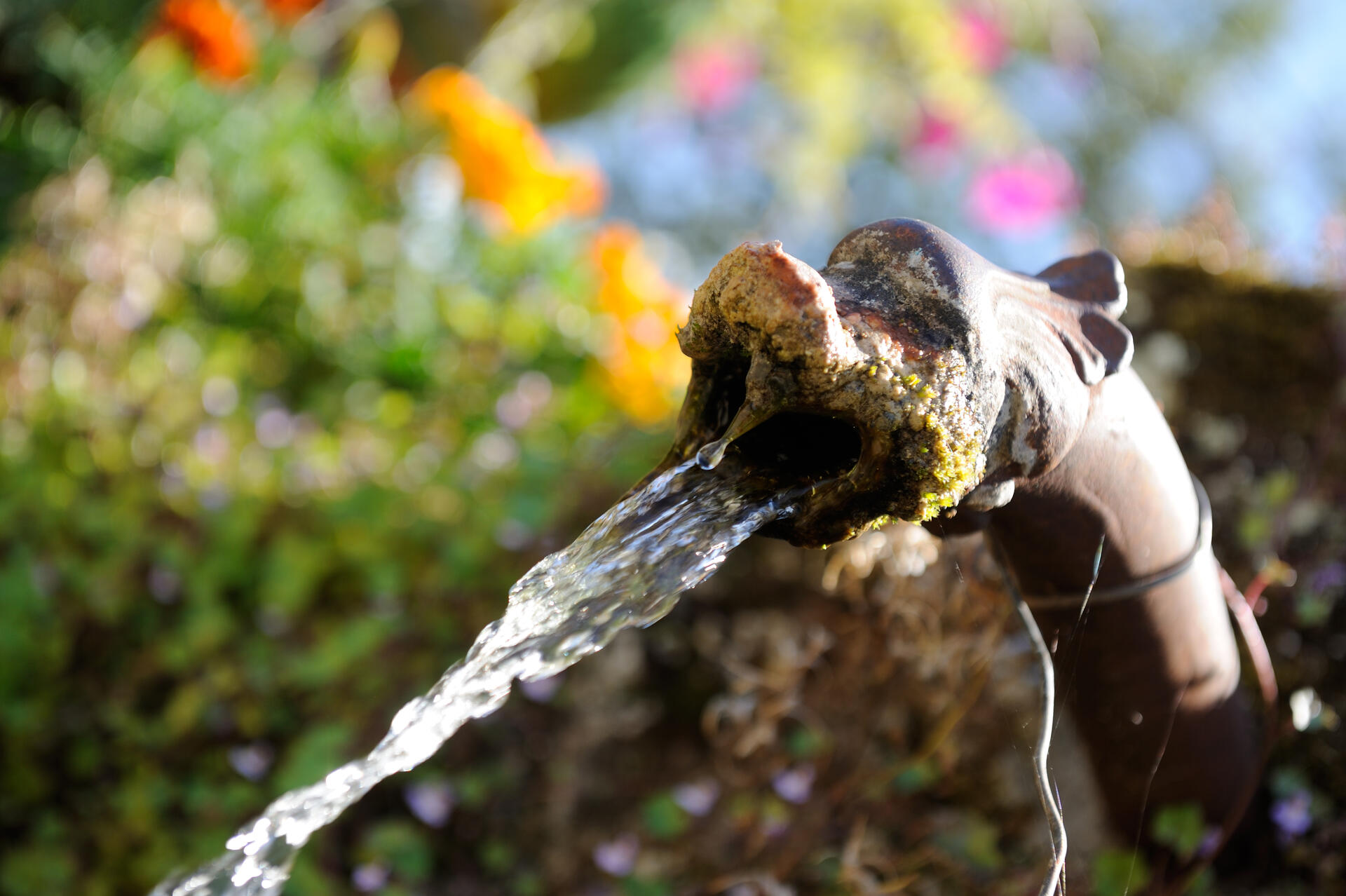 Architecture et patrimoine - Fillinges