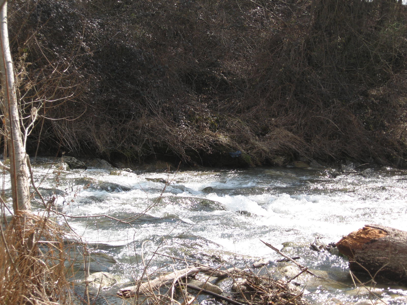 Environnement - Fillinges